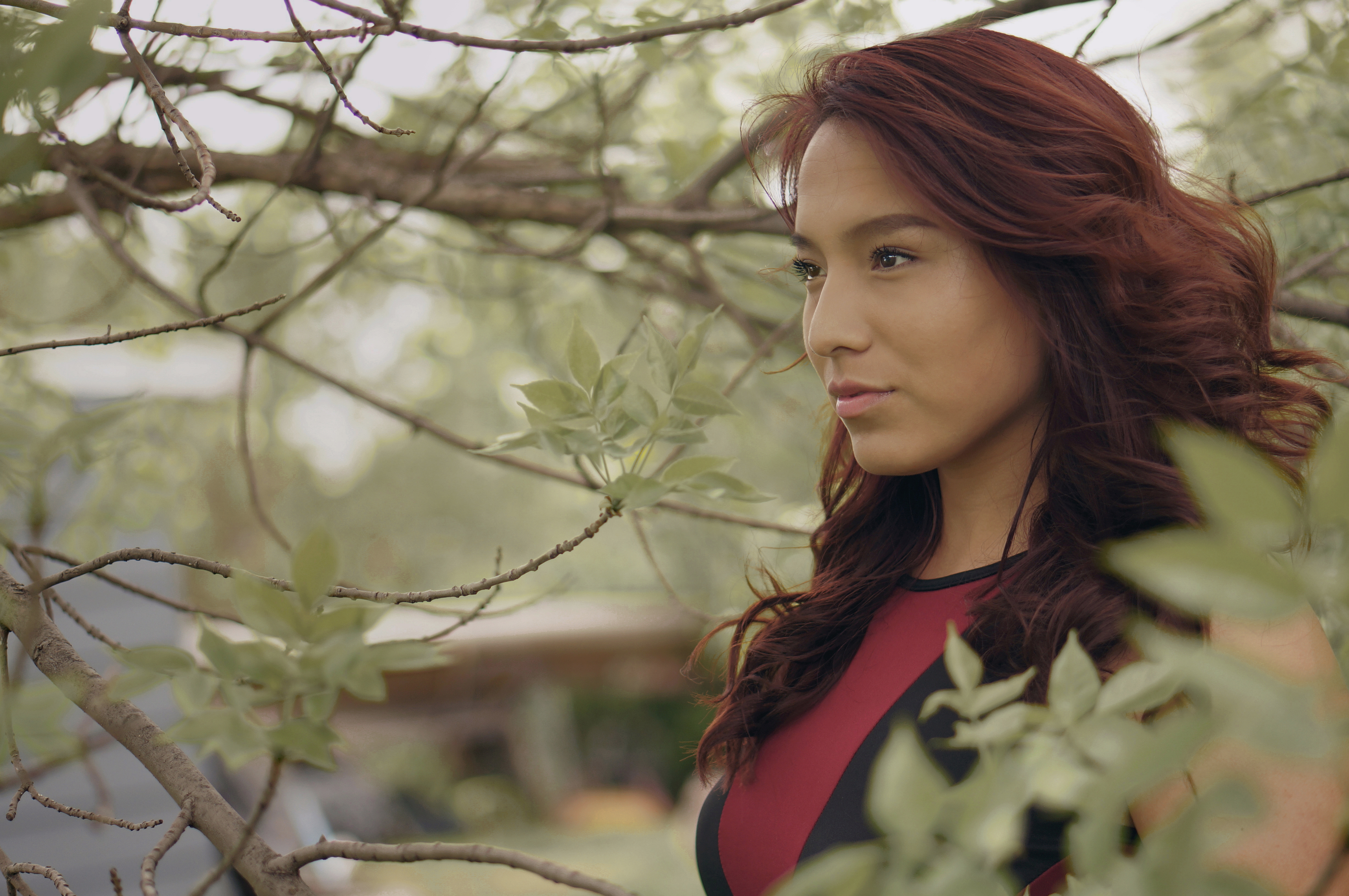 A Guide to Understanding the Restoration of Native American Life and ...